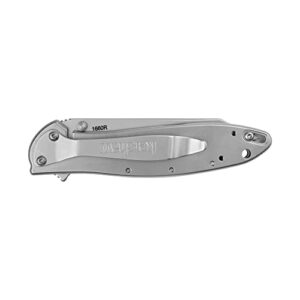 Kershaw Random Leek, 3 inch Sandvik 14C28N Stainless Steel Blade, SpeedSafe Opening, Reverse Tanto, 1660R,Silver