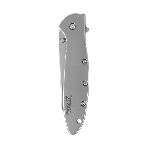 Kershaw Random Leek, 3 inch Sandvik 14C28N Stainless Steel Blade, SpeedSafe Opening, Reverse Tanto, 1660R,Silver