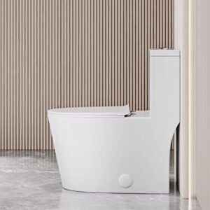 Swiss Madison Well Made Forever SM-1T180, Dreux High Efficiency One Piece Elongated Toilet with 0.8 GPF Water Saving Patented Technology