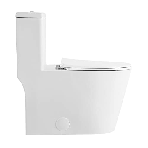 Swiss Madison Well Made Forever SM-1T180, Dreux High Efficiency One Piece Elongated Toilet with 0.8 GPF Water Saving Patented Technology