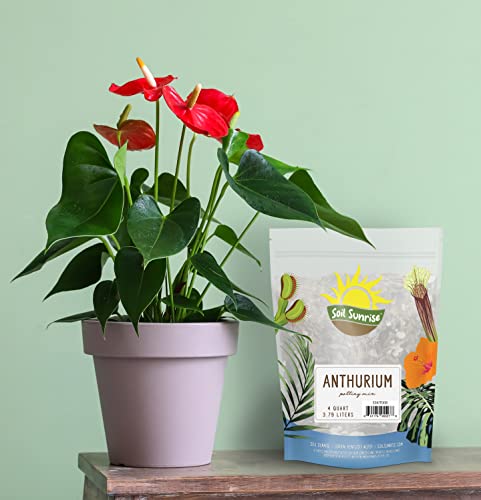 Anthurium Plant Potting Soil Mix (4 Quarts), Indoor Houseplant Custom Blend for Flowering Anthuriums