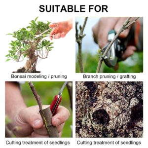 Garden Bonsai Plant Healing Paste, Tree Wound Pruning Sealer Bonsai Pruning Cutting Paste, Plants Wound Dressing for Garden Plant Grafting and Wound Treatment, Help Trees Recover Quickly (30/100/300g)