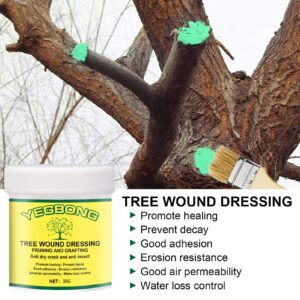 Garden Bonsai Plant Healing Paste, Tree Wound Pruning Sealer Bonsai Pruning Cutting Paste, Plants Wound Dressing for Garden Plant Grafting and Wound Treatment, Help Trees Recover Quickly (30/100/300g)