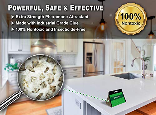 MaxGuard Pantry Moth Traps (4 Traps Trial Pack) Extra Strength Pheromones | Non-Toxic Sticky Glue Trap for Food and Cupboard Moths in Your Kitchen | Trap and Kill Seed Grain Flour Meal Moths |