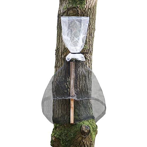 Spotted Lanternfly Tree Trap, Catch Lanternfly Without Catching Other Wildlife, Natural and Non Toxic - Made in USA