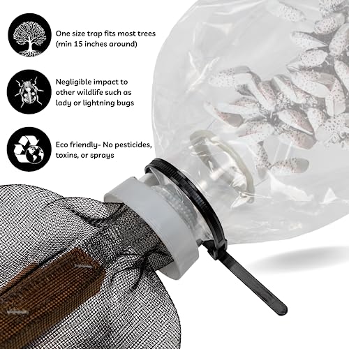 Spotted Lanternfly Tree Trap, Catch Lanternfly Without Catching Other Wildlife, Natural and Non Toxic - Made in USA