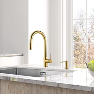 AguaStella ASF026BG Built in Soap Dispenser Brushed Gold for Kitchen Sink with Soap Bottle Countertop Pump