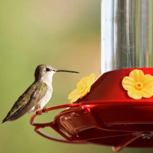 20 Pieces Hummingbird Feeders Replacement Flowers with Cleaning Brush, Bird Feeder Replacement Parts Feeding Ports Hummingbird Feeders for Outdoors