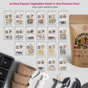 20 Vegetable Non-GMO Heirloom Seeds for Planting Vegetables and Fruits - Seed Packets in Home Survival Garden Seeds Variety Pack for Hydroponic and Outdoor Planting, Semillas de Vegetales Para Sembrar