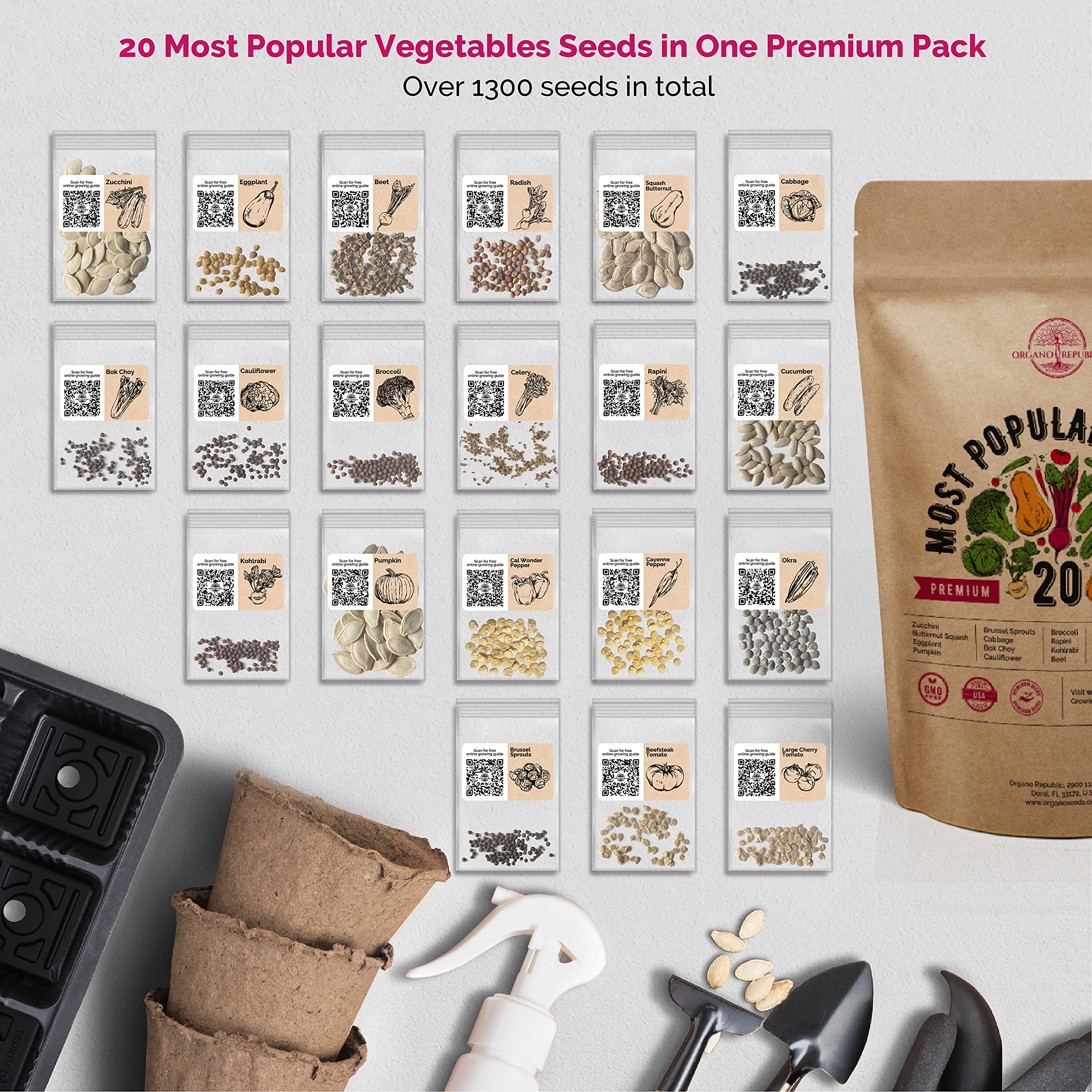 20 Vegetable Non-GMO Heirloom Seeds for Planting Vegetables and Fruits - Seed Packets in Home Survival Garden Seeds Variety Pack for Hydroponic and Outdoor Planting, Semillas de Vegetales Para Sembrar