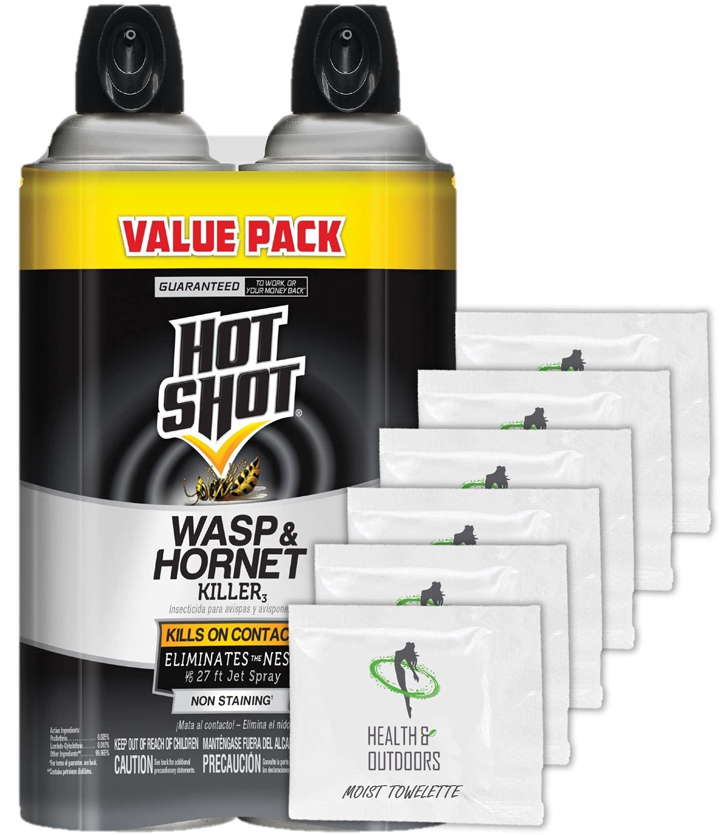 Hot Shot 14 oz Wasp and Hornet Killer Spray (2 Pack) Plus Bonus HAO Towelettes