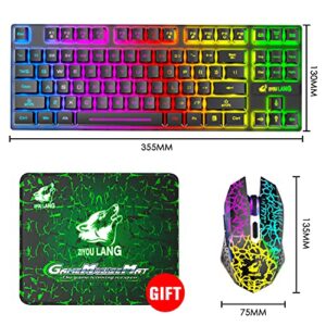 Wireless Gaming Keyboard and Mouse Combo,Rainbow Backlit Rechargeable 3800mAh Battery,87 Keys Mechanical Feel Ergonomic Waterproof Keyboard,RGB Gaming Mute Mouse and Mousepad for PC Gamers (Black)