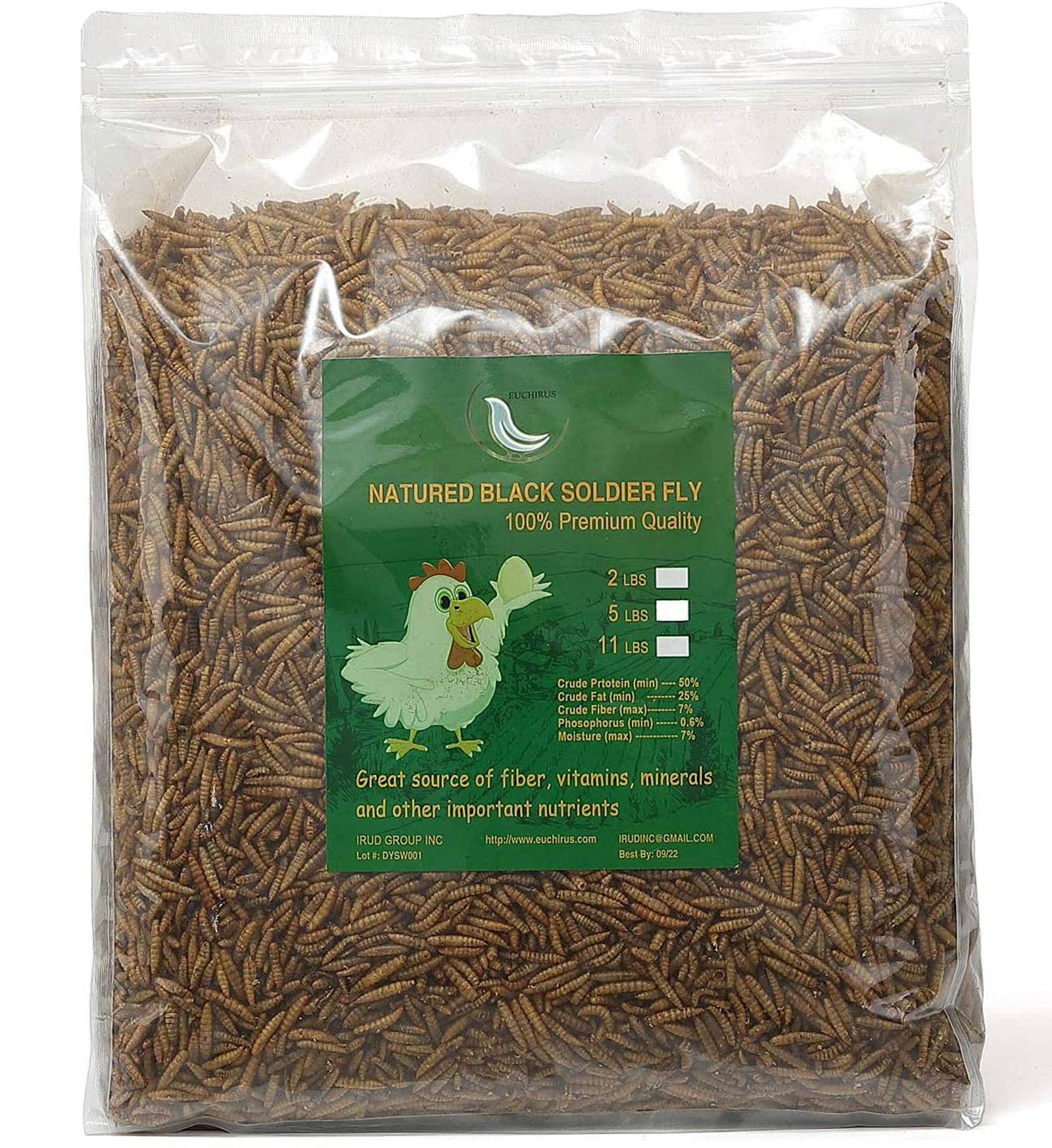 WORKPOINT 10LBS Black Soldier Fly Larvae for Chickens, 100% Natural Premium Quality Non-GMO, Treats for Poultry, Chickens, Ducks and Geese