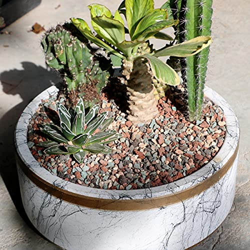 2.7lb Horticultural Lava Rocks Bonsai Succulent Cactus Potting Soil Mix Planter Drainage Volcanic Stones Air Plant Terrarium Pumice Tiny Gravel Pebbles for Vase Fillers, Fairy Gardening,Top Dressing