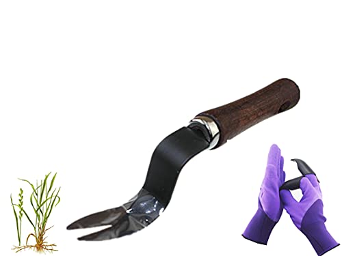 BDDMYAA Weed Puller,Hand Weeder Tool,Garden Lawn Farmland Transplant Gardening Bonsai Tools (with Garden Gloves)