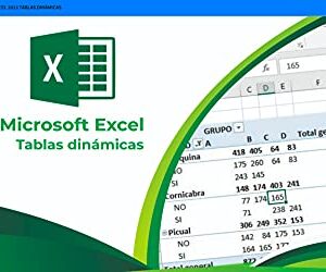 Curso Excel Tablas Dinámicas Online | Aprende a crear, manejar Tablas Dinámicas en Excel | Incluye Acceso al Curso Autoestudio+Practica Interactiva+Videos+Libro+Ejercicios Tipo+Certificado