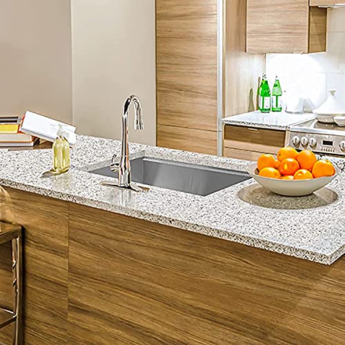 Hausinluck 32 inch Workstation Undermount Kitchen Sink, Stainless Steel Undermount Kitchen Sink 18 Gauge, Handmade Modern Single Bowl Deep Kitchen Sink with Ledge and Accessories (Pack of 5)