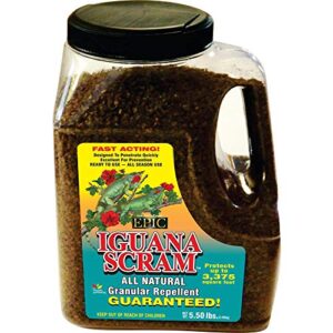 epic - america's finest iguana scram - 5.5 lbs shaker jug - 100% natural, organic & effective at iguana and reptile repelling!