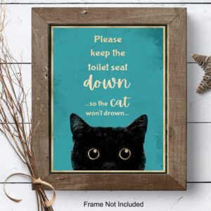 Put The Toilet Seat Down Sign - Cat Bathroom Decor - Bath Wall Decor - Funny Bathroom Wall Art - Blue Bathroom Decorations for Women, Kitty, Kitten Fan - Powder Room - Restroom Sign - Guest Bathroom