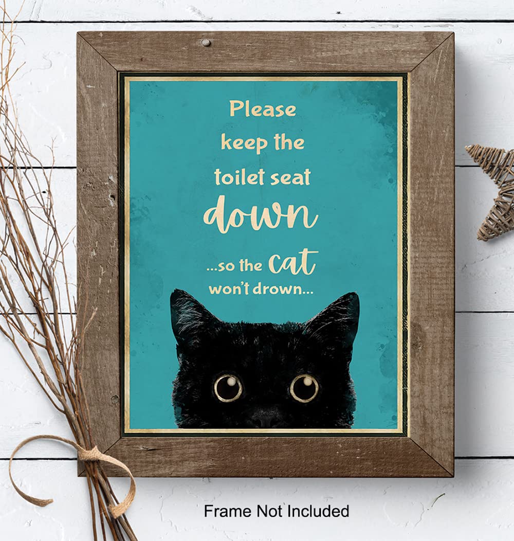 Put The Toilet Seat Down Sign - Cat Bathroom Decor - Bath Wall Decor - Funny Bathroom Wall Art - Blue Bathroom Decorations for Women, Kitty, Kitten Fan - Powder Room - Restroom Sign - Guest Bathroom