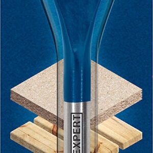 Bosch Professional 1x Expert Self Cut Speed Spade Bit (for Fast and Rough Drilling in Softwood, Ø 19mm, Accessories Drill Driver)