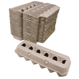 jumbo blank egg cartons 200 cnt