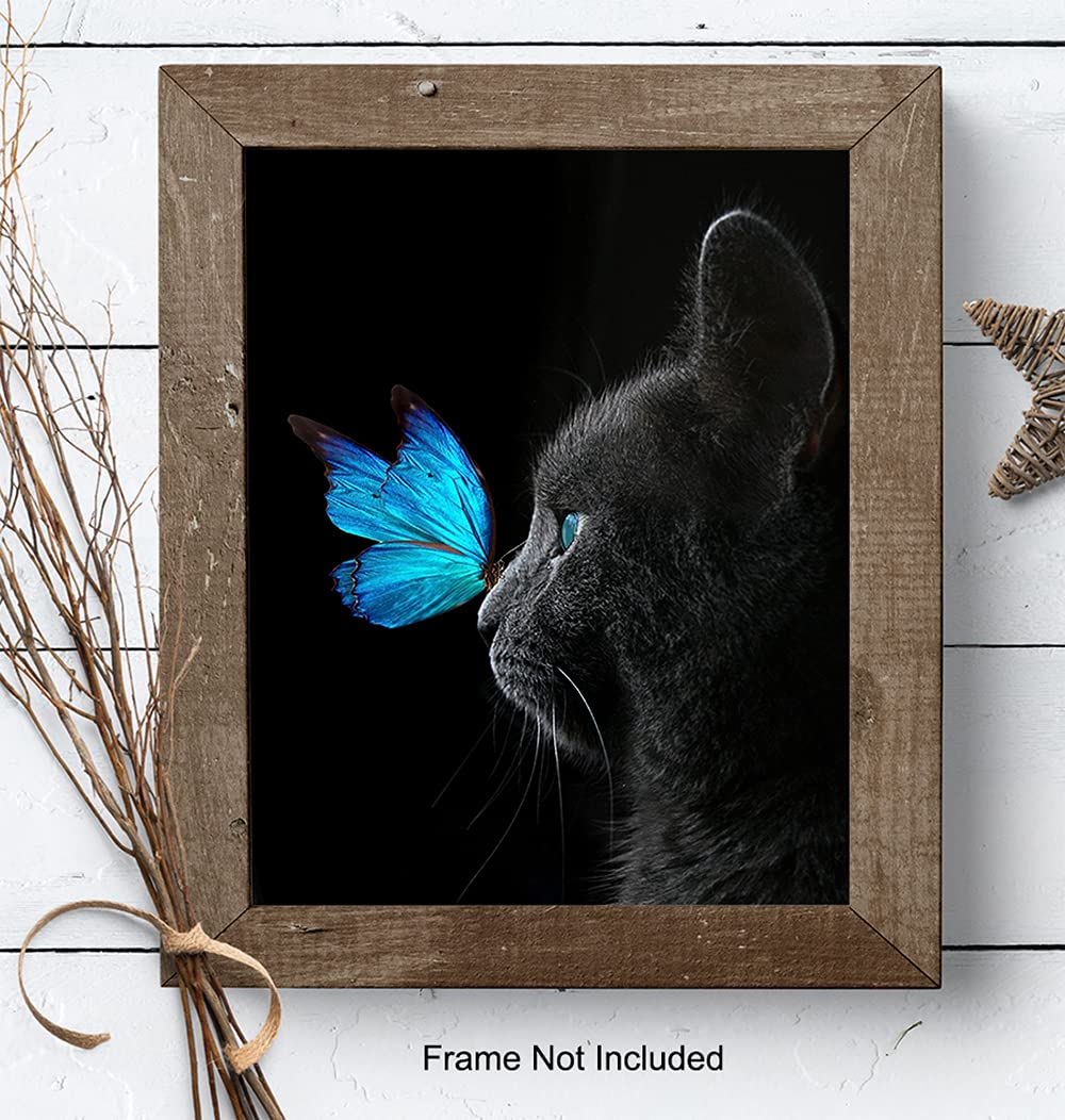 Cat Wall Decor - Butterfly Wall Decor - Blue Butterfly - Black Cat - Cat Gifts for Women - Cute Cat Poster - Cat Posters for Girls Bedroom - Cat Lover Gifts - Cat Wall Art - Butterfly Wall Art