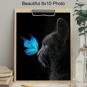 Cat Wall Decor - Butterfly Wall Decor - Blue Butterfly - Black Cat - Cat Gifts for Women - Cute Cat Poster - Cat Posters for Girls Bedroom - Cat Lover Gifts - Cat Wall Art - Butterfly Wall Art