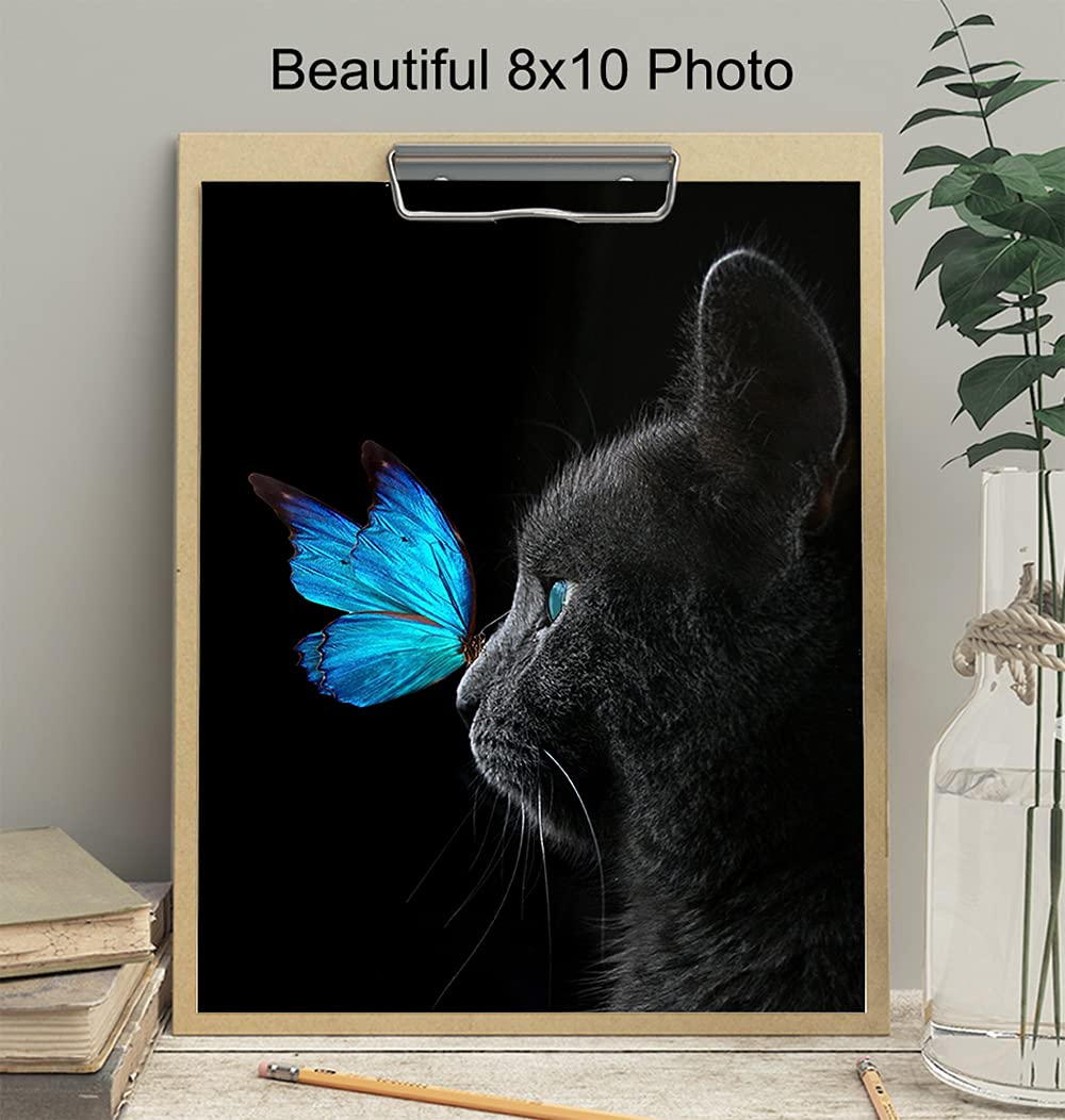 Cat Wall Decor - Butterfly Wall Decor - Blue Butterfly - Black Cat - Cat Gifts for Women - Cute Cat Poster - Cat Posters for Girls Bedroom - Cat Lover Gifts - Cat Wall Art - Butterfly Wall Art