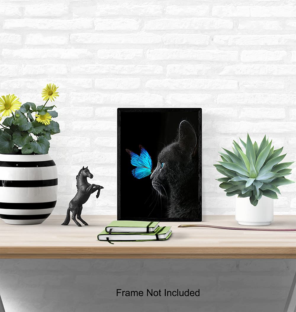 Cat Wall Decor - Butterfly Wall Decor - Blue Butterfly - Black Cat - Cat Gifts for Women - Cute Cat Poster - Cat Posters for Girls Bedroom - Cat Lover Gifts - Cat Wall Art - Butterfly Wall Art