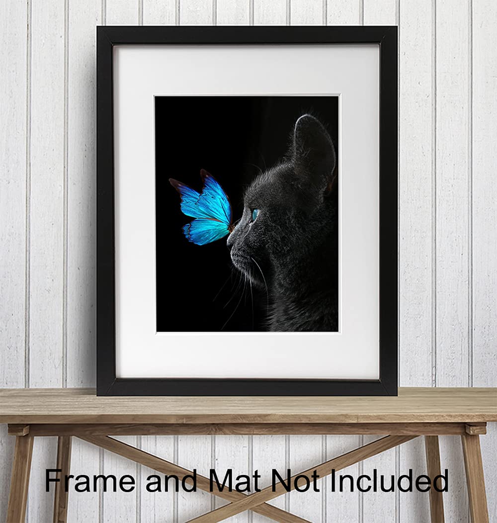 Cat Wall Decor - Butterfly Wall Decor - Blue Butterfly - Black Cat - Cat Gifts for Women - Cute Cat Poster - Cat Posters for Girls Bedroom - Cat Lover Gifts - Cat Wall Art - Butterfly Wall Art