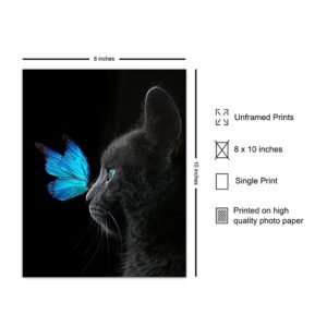 Cat Wall Decor - Butterfly Wall Decor - Blue Butterfly - Black Cat - Cat Gifts for Women - Cute Cat Poster - Cat Posters for Girls Bedroom - Cat Lover Gifts - Cat Wall Art - Butterfly Wall Art