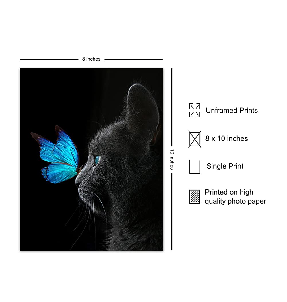 Cat Wall Decor - Butterfly Wall Decor - Blue Butterfly - Black Cat - Cat Gifts for Women - Cute Cat Poster - Cat Posters for Girls Bedroom - Cat Lover Gifts - Cat Wall Art - Butterfly Wall Art