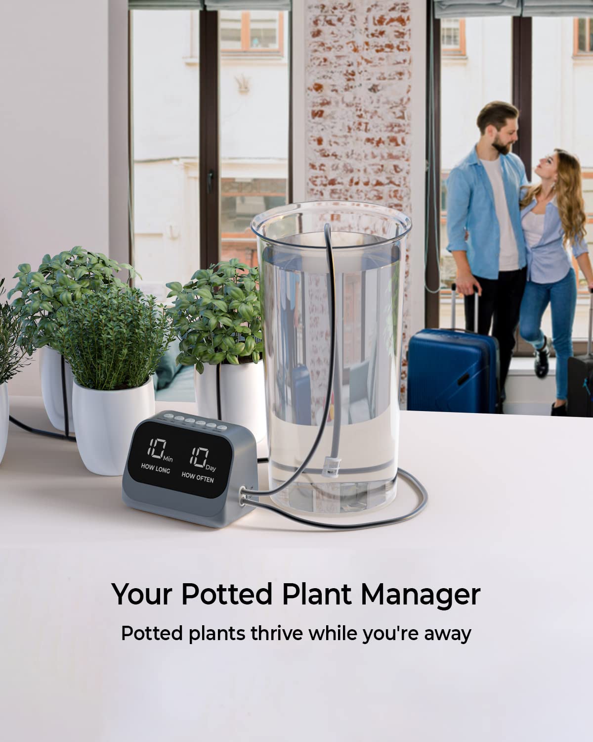 Automatic Watering System for Potted Plants, Plant Waterer with Smart Programmable Timer, Waterproof LED Display & Large Capacity Battery, Precise Distribution of Water, Gray