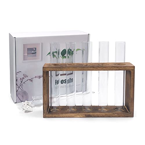 Foosibo Plant Terrarium with Wooden Stand, Wall Hanging Glass Planter Propagation Stations Flower Bud Vase with 5 Test Tubes, Tabletop Glass Terrarium for Propagating Hydroponics Plants (5 Tubes)