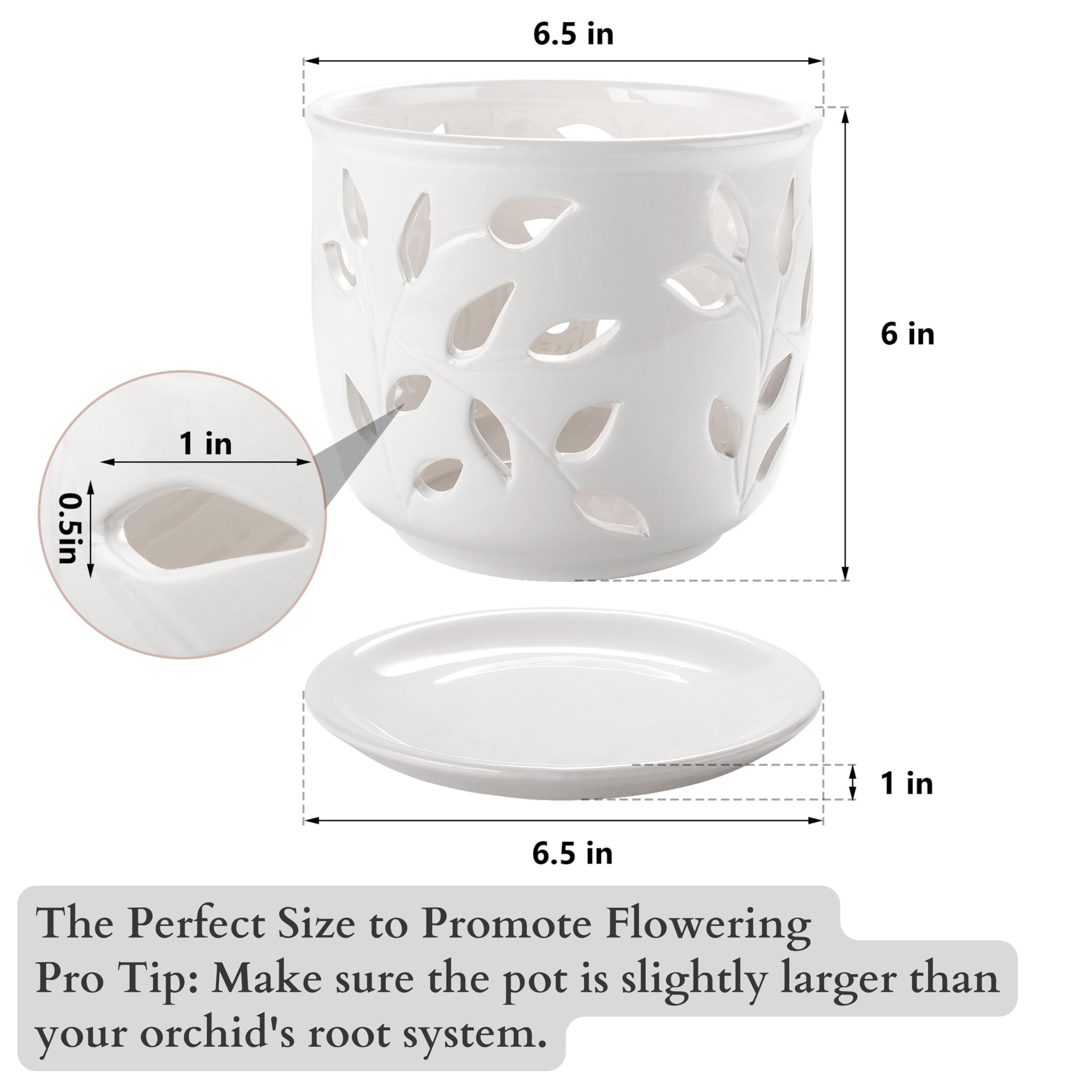 VEBAVO Large Ceramic Orchid Pot with Holes & Saucer 6.5 in. Indoor or Outdoor Pot for Orchid Care & Root Health with Precise Aeration & Drainage – Durable for Repotting or New Plants