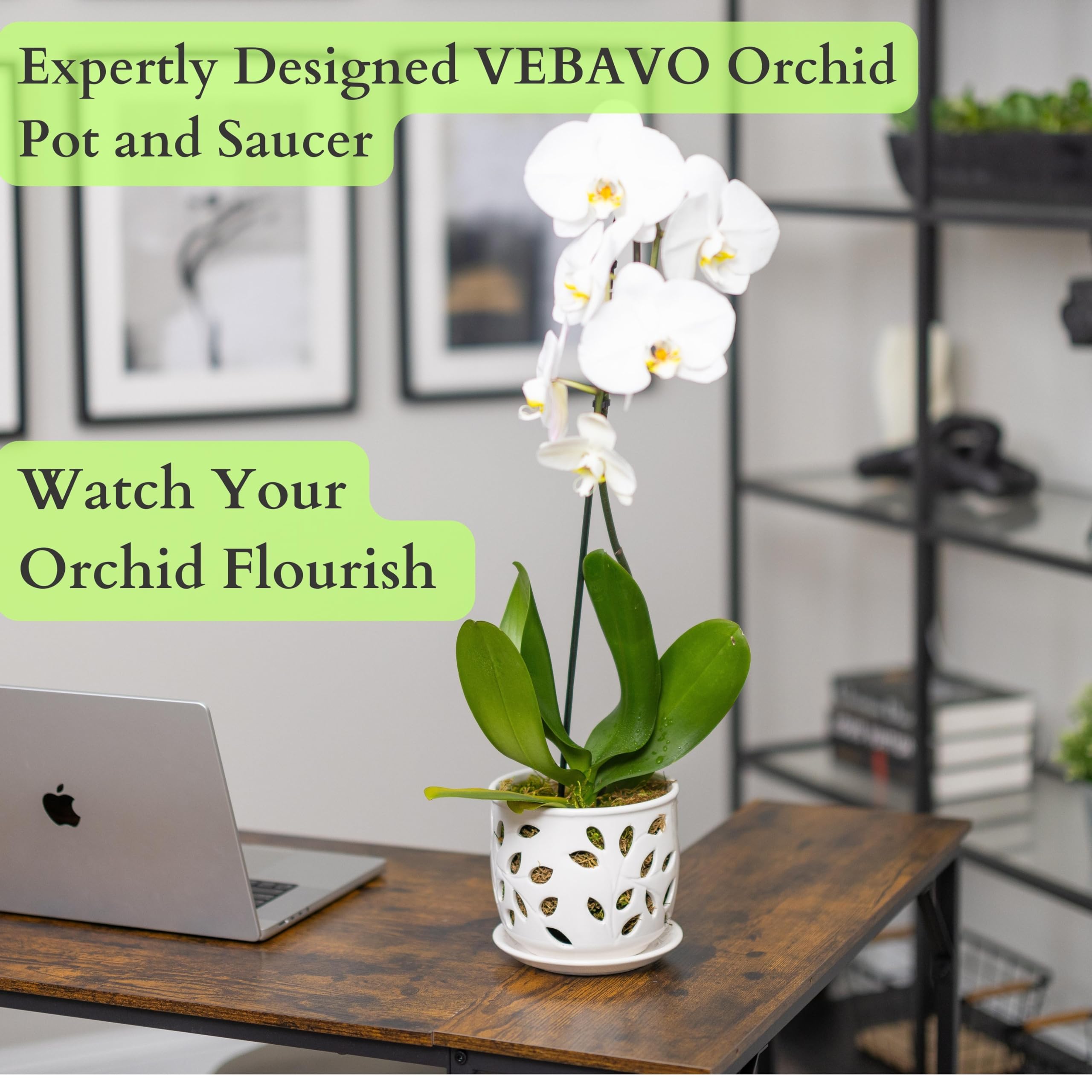 VEBAVO Large Ceramic Orchid Pot with Holes & Saucer 6.5 in. Indoor or Outdoor Pot for Orchid Care & Root Health with Precise Aeration & Drainage – Durable for Repotting or New Plants