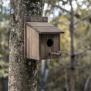 NATUREYLWL Wooden Bird House Wood Bird House for Outside with Pole for Finch, Bluebird, Cardinals, Hanging Birdhouse Garden Country Cottages