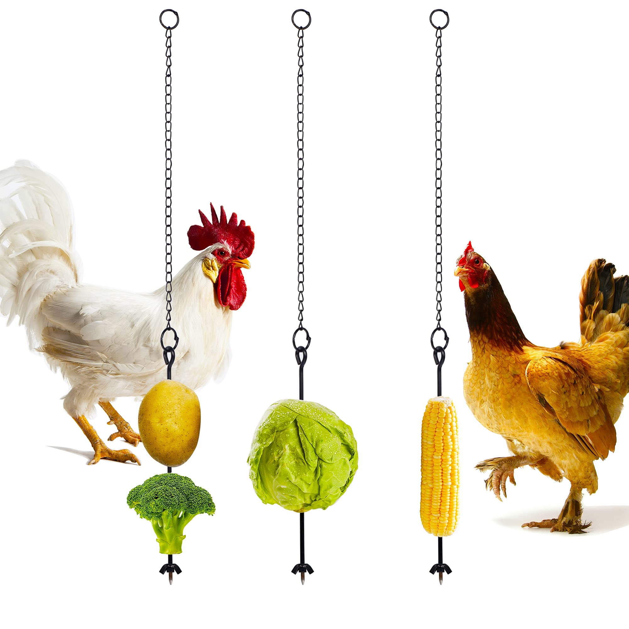 winemana 3PCS Chicken Veggies Skewer Fruit Holder for Hens Pet Chick, Coop Accessories Vegetable Hanging Feeder, Foraging Toy for Large Birds