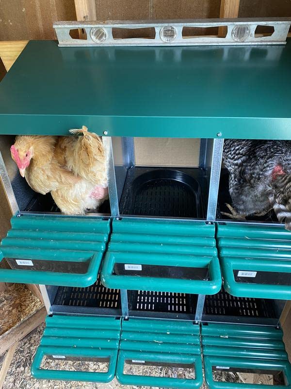 Homestead Essentials 3 Compartment Roll Out Nesting Box for Chickens | Heavy Duty Chicken Coop Nesting Box with Lid Cover to Protect Eggs (with Perch) | for Up to 15 Hens