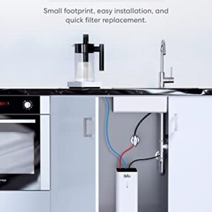 Brio Amphora Reverse Osmosis Under Sink Filtration System