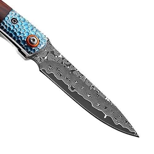 IVTT Damascus Steel Pocket Folding Knife, VG10 Core Blade Tool Knife, Wood Handle, Gift for men, EDC Knife for Outdoor, Survival, Camping, Hiking