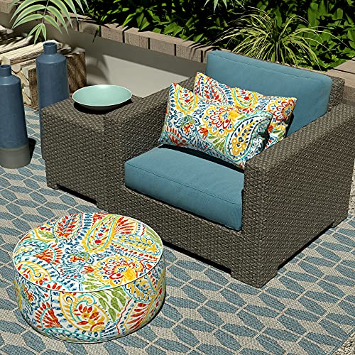 LVTXIII Outdoor Lumbar Pillow Covers, Patio Decorative Lumbar Pillow Cases ONLY, Fluffy Fade-Resistant Lumbar Cushion Cases for Home Balcony and Garden, 12x20 Inch, Pack of 2, Paisley Multi