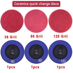 AUSTOR 126 Pcs Sanding Discs 2 Inch Quick Change Disc with 1/4 inch Tray Holder Surface Conditioning Disc for Surface Prep Strip Grind Polish Finish Burr Rust Paint Removal