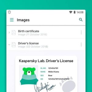 Kaspersky Password Manager | Unlimited Devices | 1 User Sccount | 1 year | PC/Mac/Android/iOS | Online Code