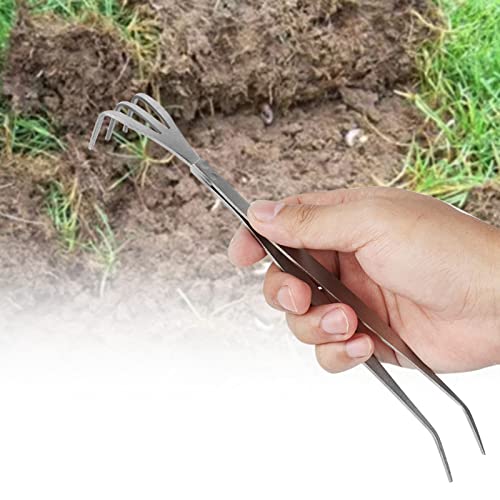 Bonsai Rake，9.8in 2-in-1 Stainless Steel Root Rake 3 Prong Root Rake Loosen Soil Bonsai Tools Ergonomic Handle Tweezers for Gardening Plants