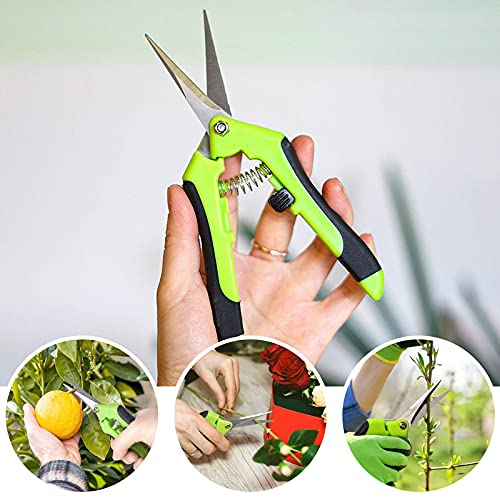 Succulent Gardening Tools, Squirt Bottle for Indoor Plants, Garden Scissors Pruning Shear, Bonsai Transplanting Tools Repotting Mat, Succulent Watering Bottle Terrarium Kit, Gardening Gifts for Women