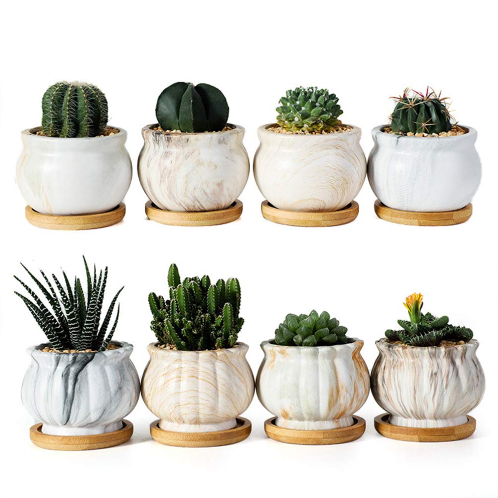 Happyyami 8Pcs Ceramic Succulent Plant Pot planters for Indoor Plants Bonsai Planter Bowl Round Potting Pot Decorative Planter Home Decoration Creative Flower Pot Wooden Household Container