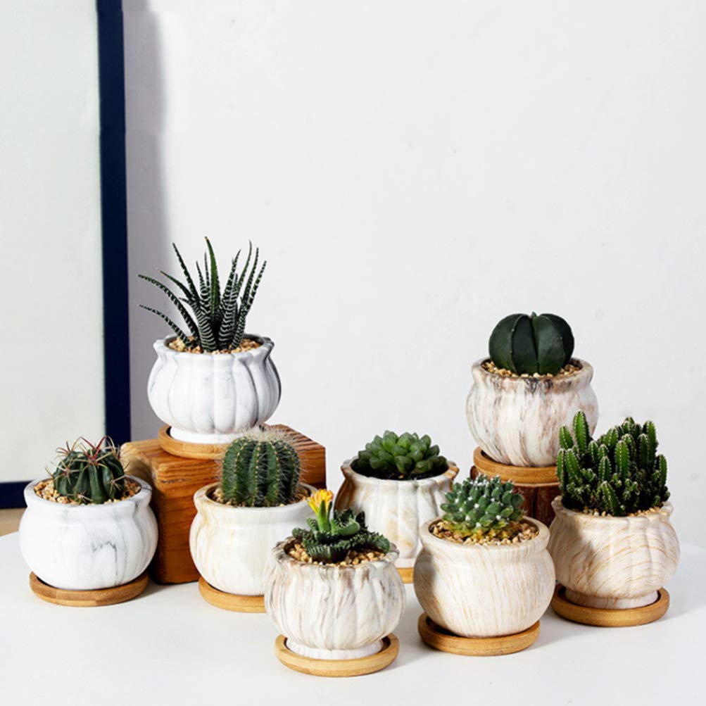 Happyyami 8Pcs Ceramic Succulent Plant Pot planters for Indoor Plants Bonsai Planter Bowl Round Potting Pot Decorative Planter Home Decoration Creative Flower Pot Wooden Household Container