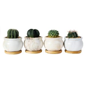 Happyyami 8Pcs Ceramic Succulent Plant Pot planters for Indoor Plants Bonsai Planter Bowl Round Potting Pot Decorative Planter Home Decoration Creative Flower Pot Wooden Household Container